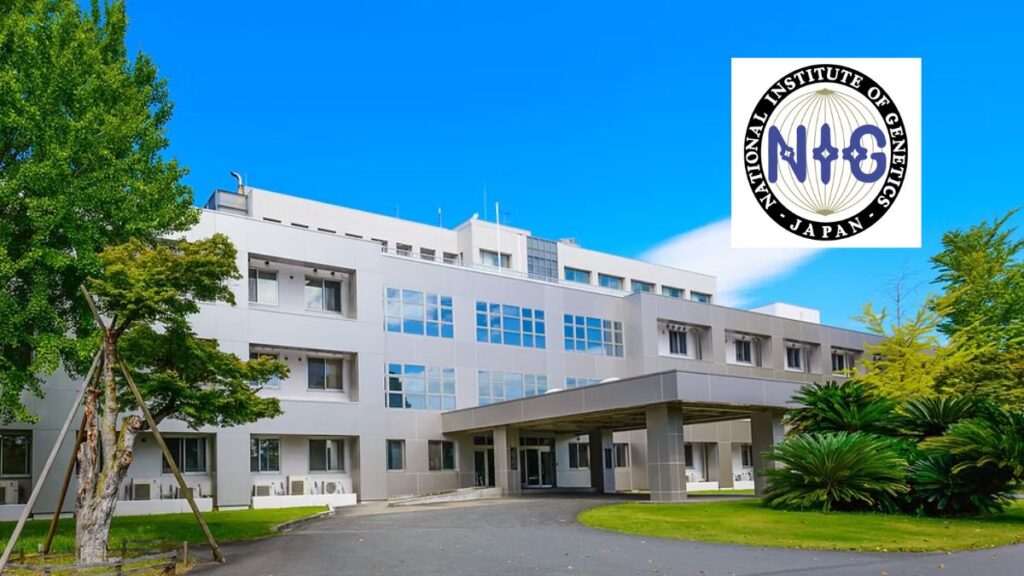 NIG Internship Program 2026: How to apply for the fully funded internship | CrispNG