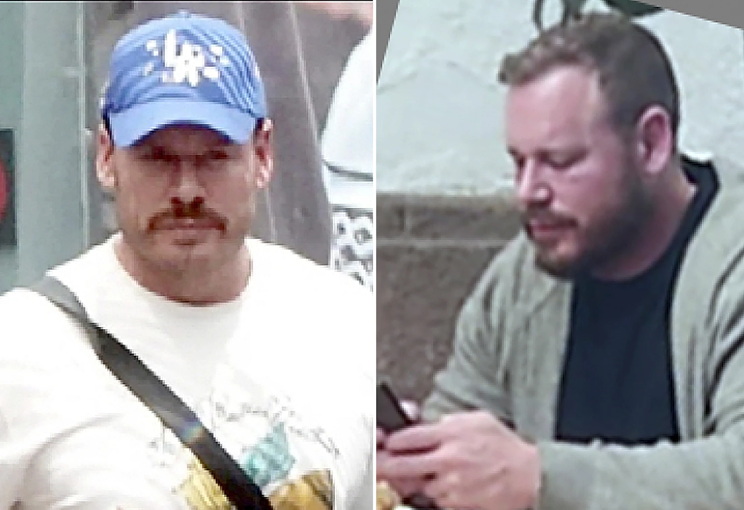 From Olympic Glory to Global Manhunt: Inside the Shocking Ryan Wedding ...